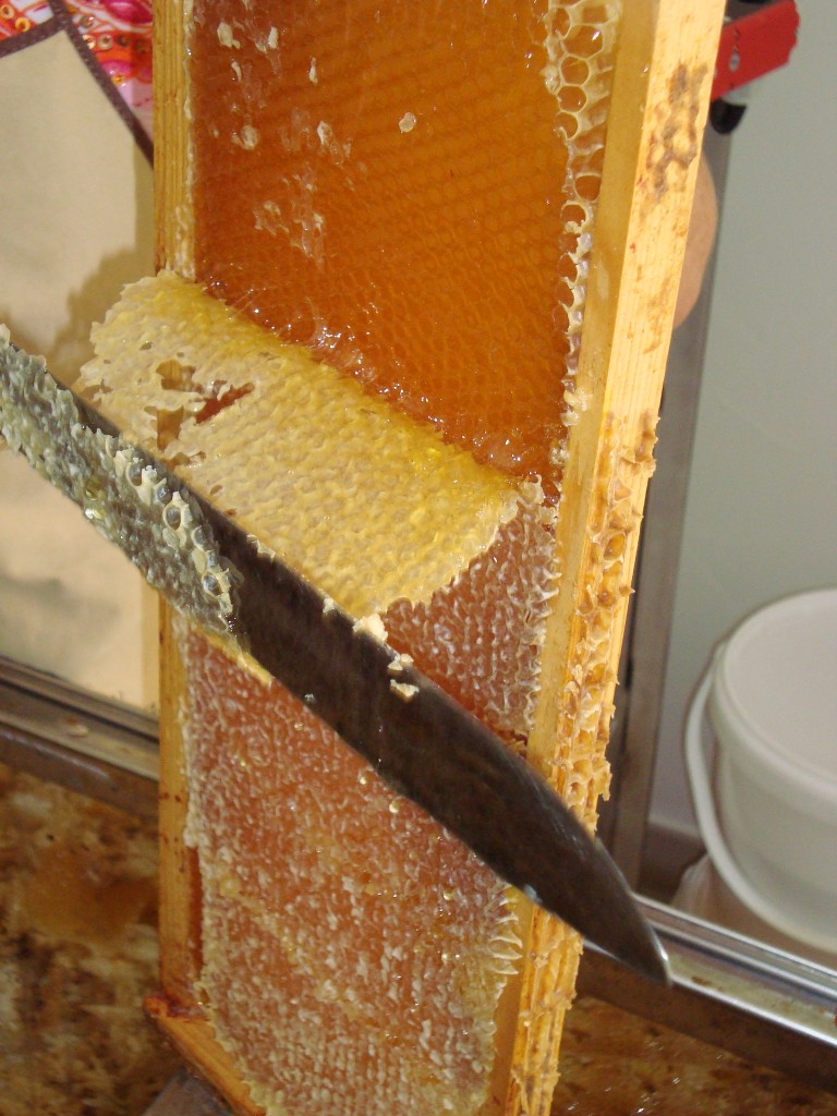 Le nouveau contrat miel | Amaplanète-Blanquefort